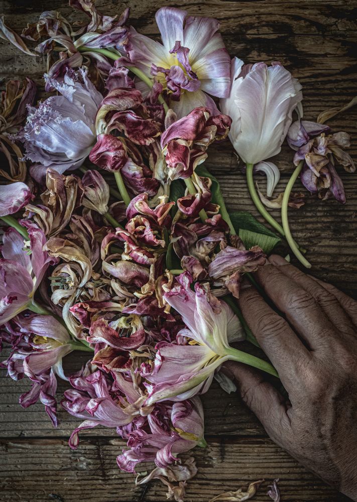 WPE - International Photographers Awards - galleries